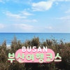 부산 여행코스 추천 해변열차 왕복 커플여행 5곳 ♪ 네이버 블로그